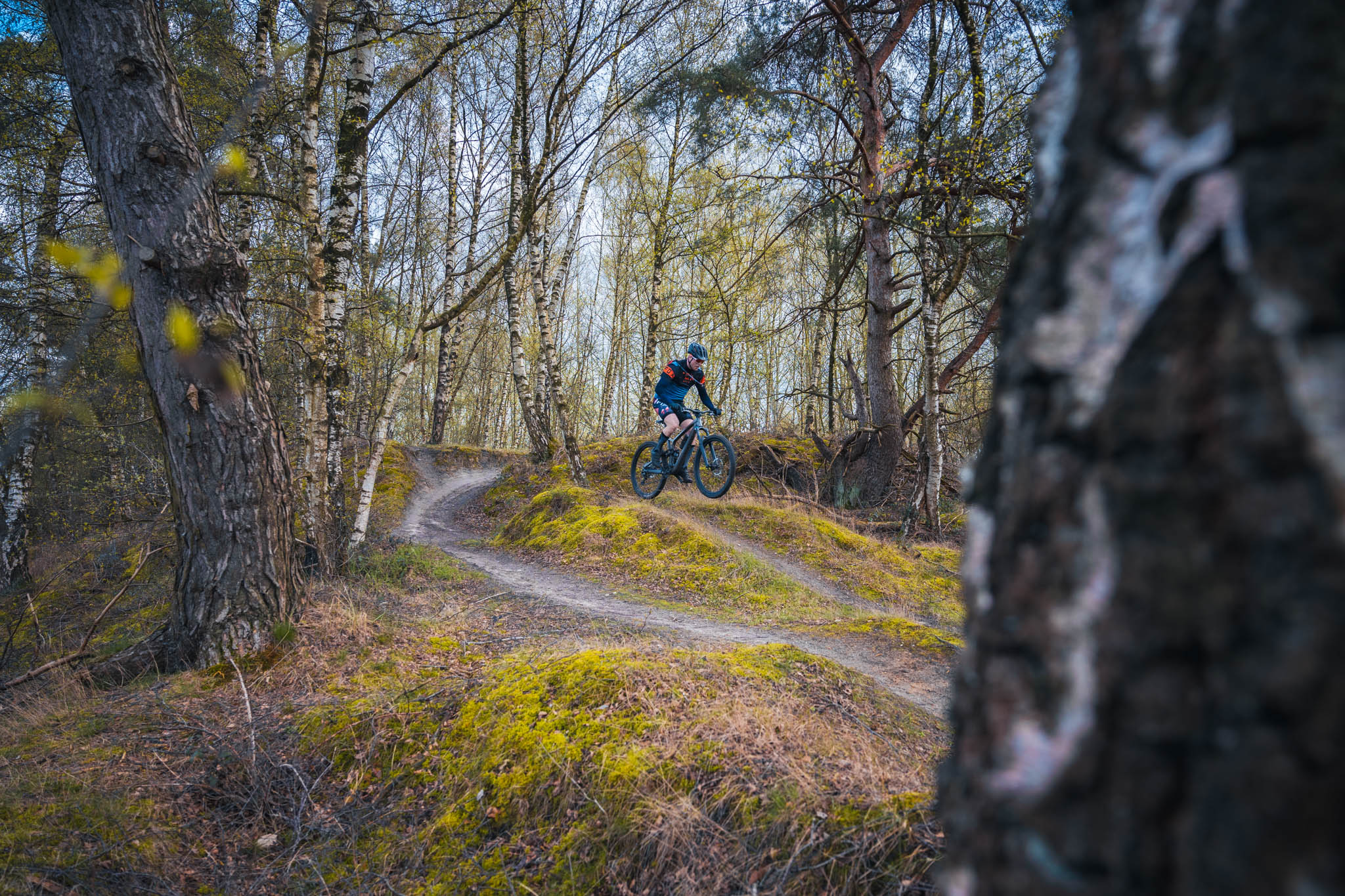De mooiste singletracks rondom Lommel. Een mountainbike Daytrip | MTB ...